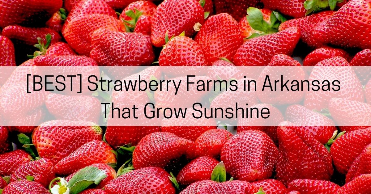 [INCREDIBLE] Arkansas Farms You Won’t Want to Miss - All About Arkansas
