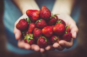 4 [BEST] Strawberry Farms in Arkansas That Grow Sunshine