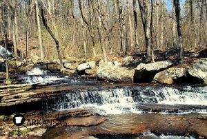 Collins Creek Trail in Arkansas Has A Constantly Flowing Cascade! Even ...