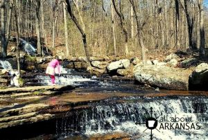 Collins Creek Trail in Arkansas Has A Constantly Flowing Cascade! Even ...