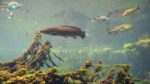 WILD TALES of the Grinnel Fish - All About Arkansas