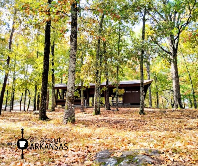 Old Highway 25 Campground Review with PHOTOS