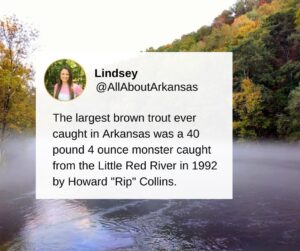 3 BEST Trout Fishing Rivers in Arkansas - All About Arkansas